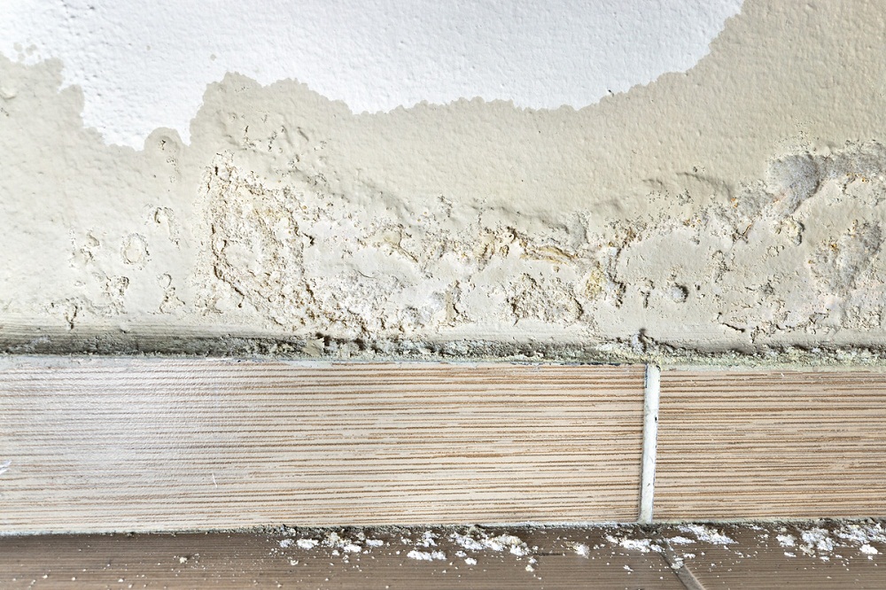 Rising Damp Control | Northern Ireland | Radication Ltd